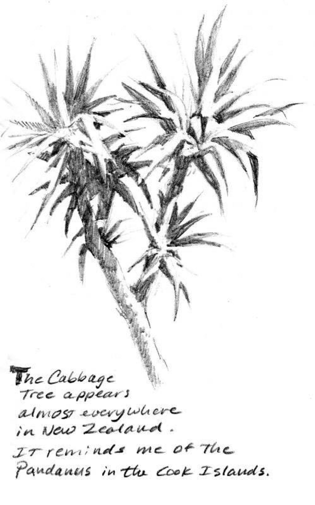 South Pacific Sketchbook – Roland Lee